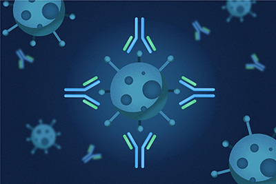 2D Liquid Chromatography in Biopharmaceutical Analysis